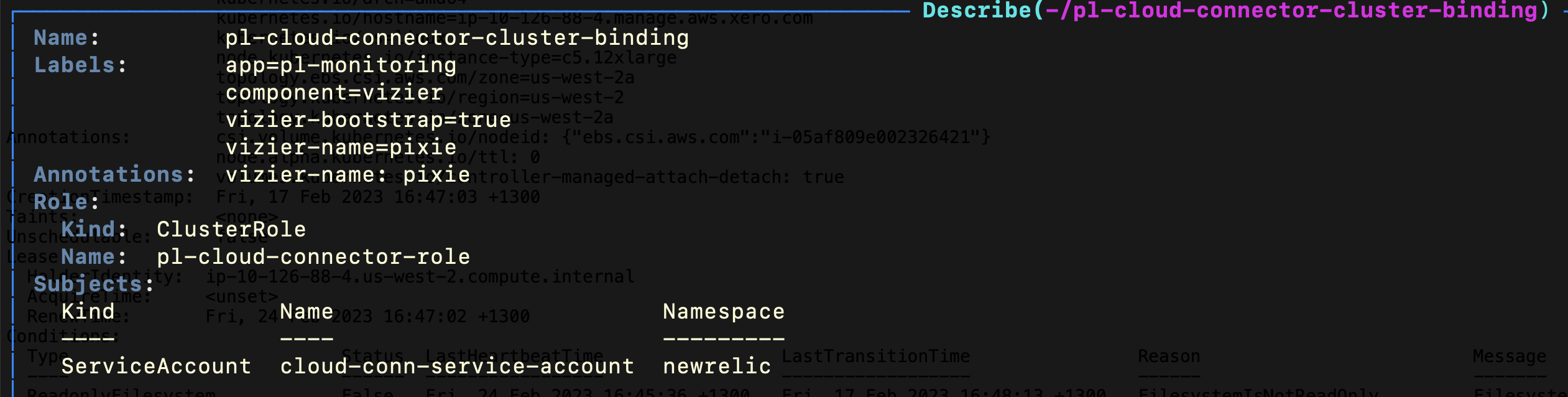Hub Topic: Trouble connect private EKS cluster with NewRelic ...