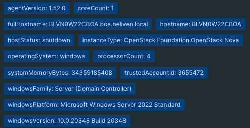 Hub Topic: New Relic Infrastructure Agent - Windows Server 2022